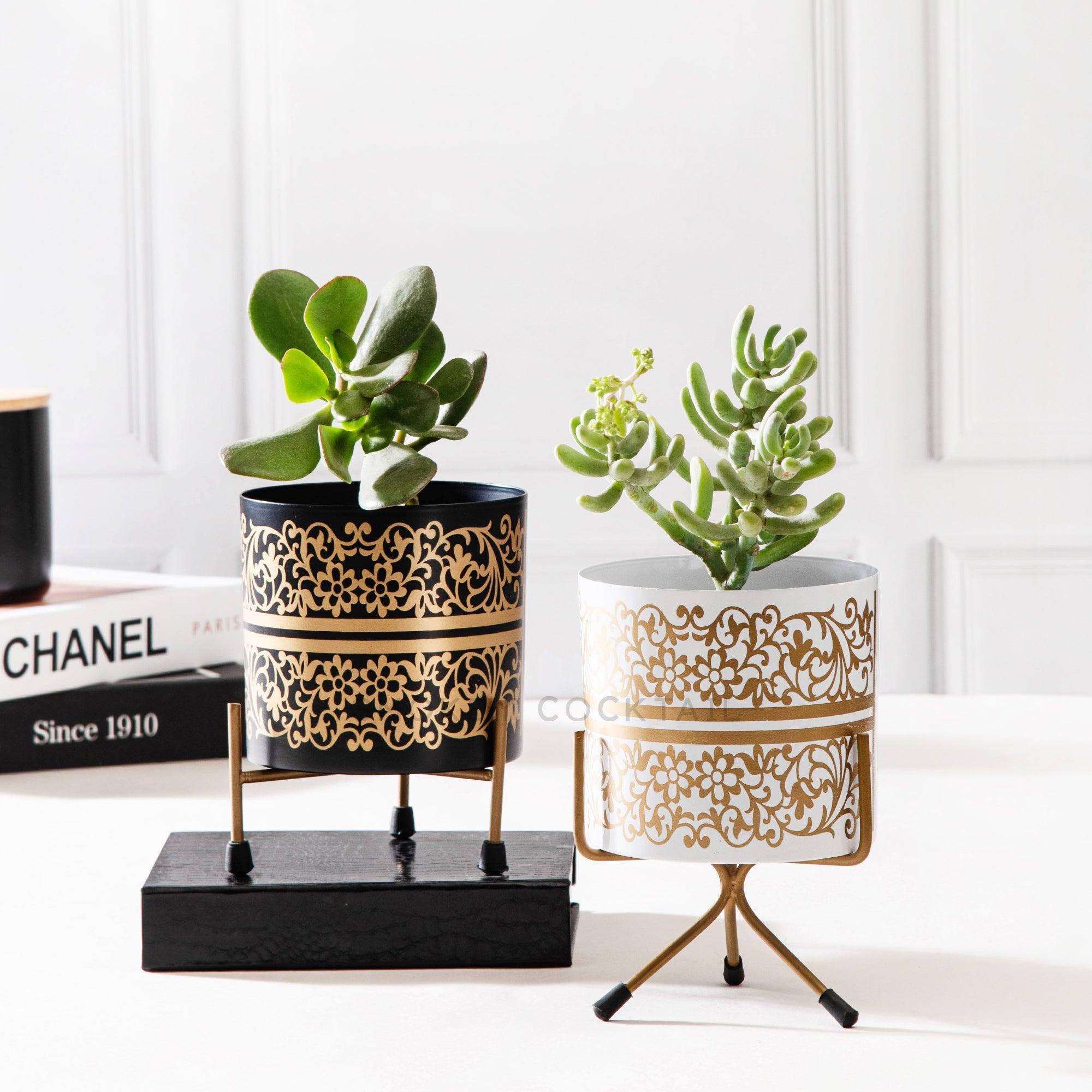 Buy Planters and Flower Pots For Home at an Affordable Price | Smokey ...