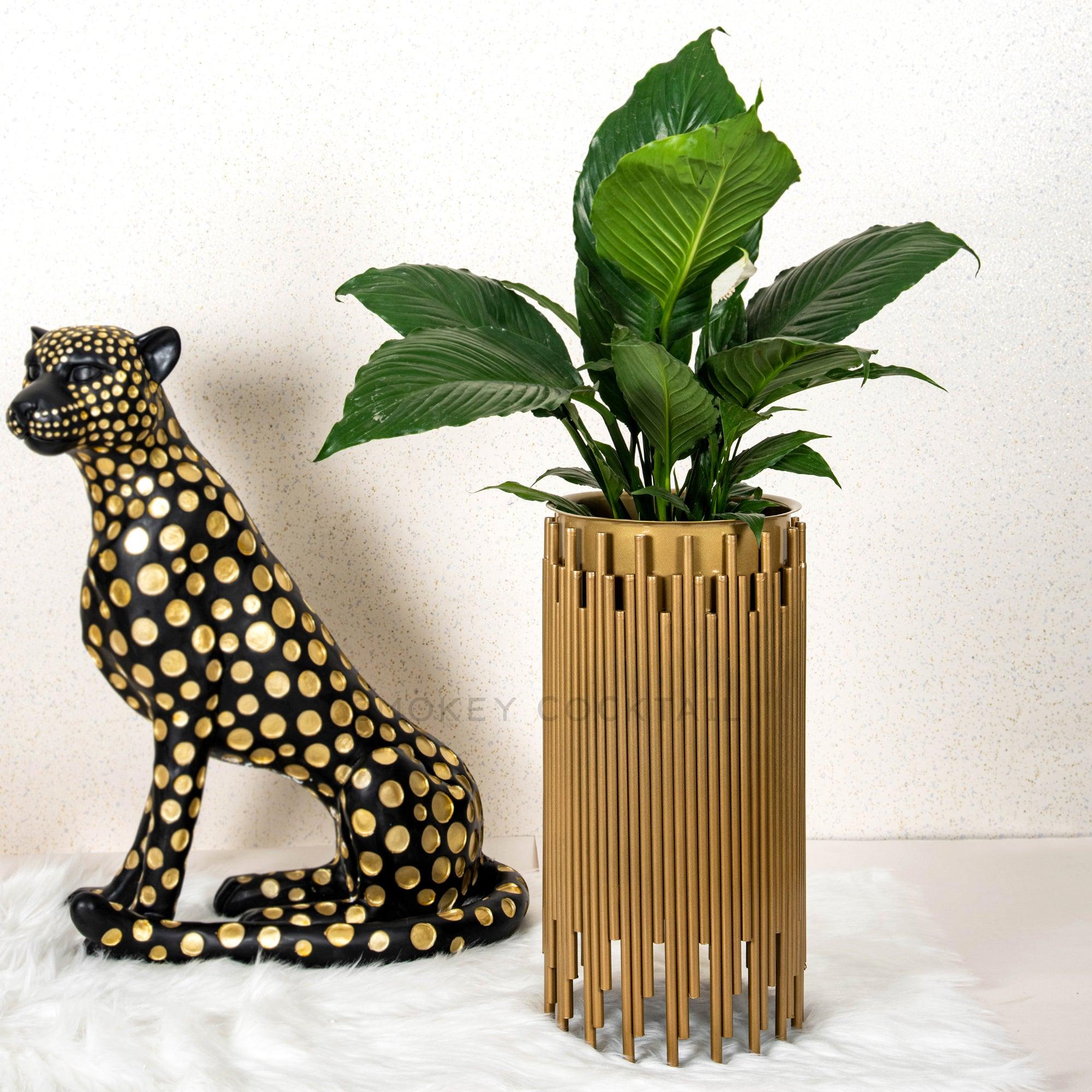 Buy Planters and Flower Pots For Home at an Affordable Price | Smokey ...