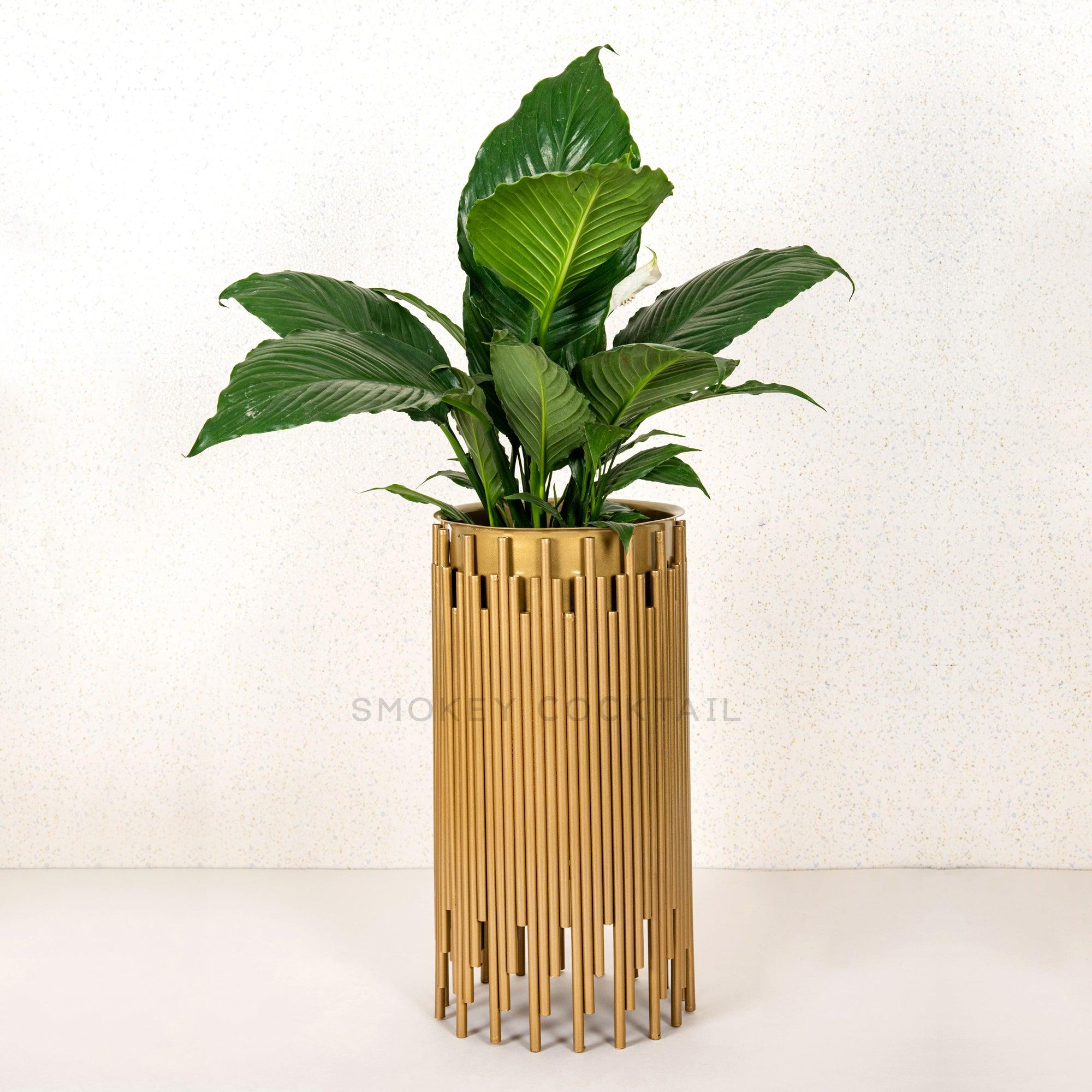 Buy Planters and Flower Pots For Home at an Affordable Price | Smokey ...