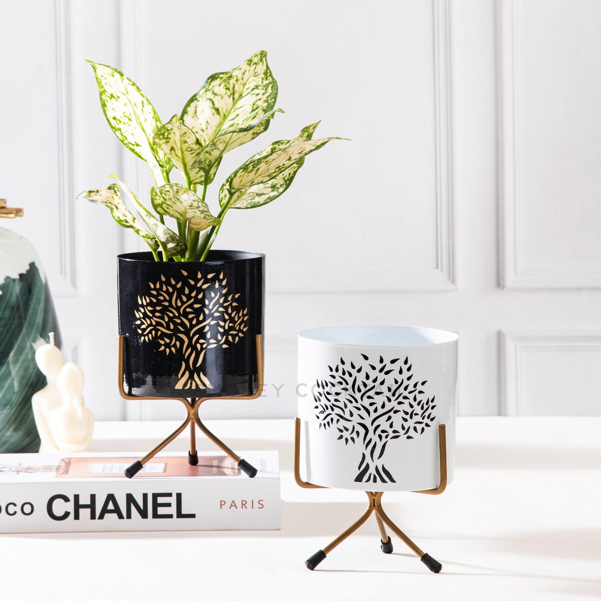 Buy Planters and Flower Pots For Home at an Affordable Price | Smokey ...